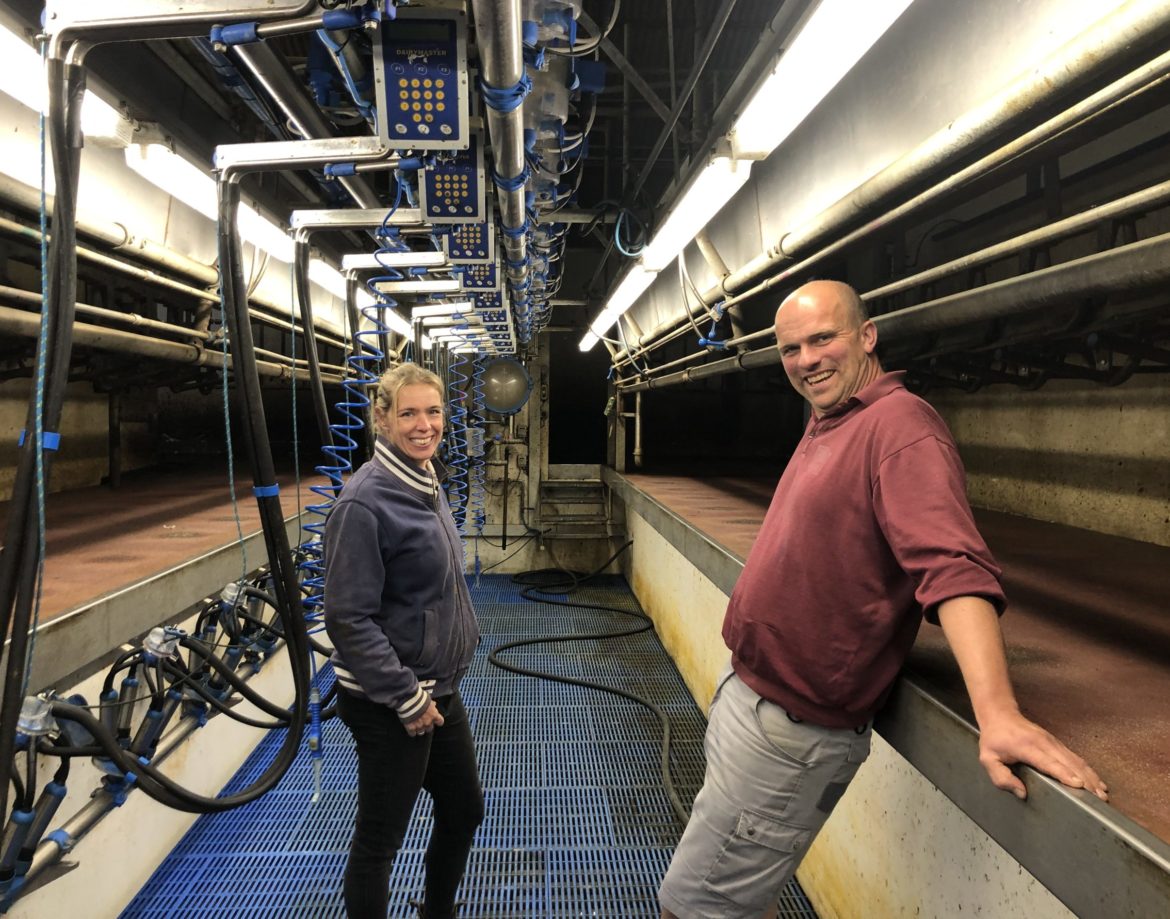 Why Dutch Farmers are Migrating to Denmark - Daanishly